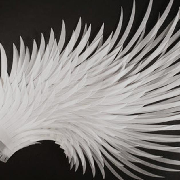 design with Tyvek® | DuPont™ Tyvek® for Design